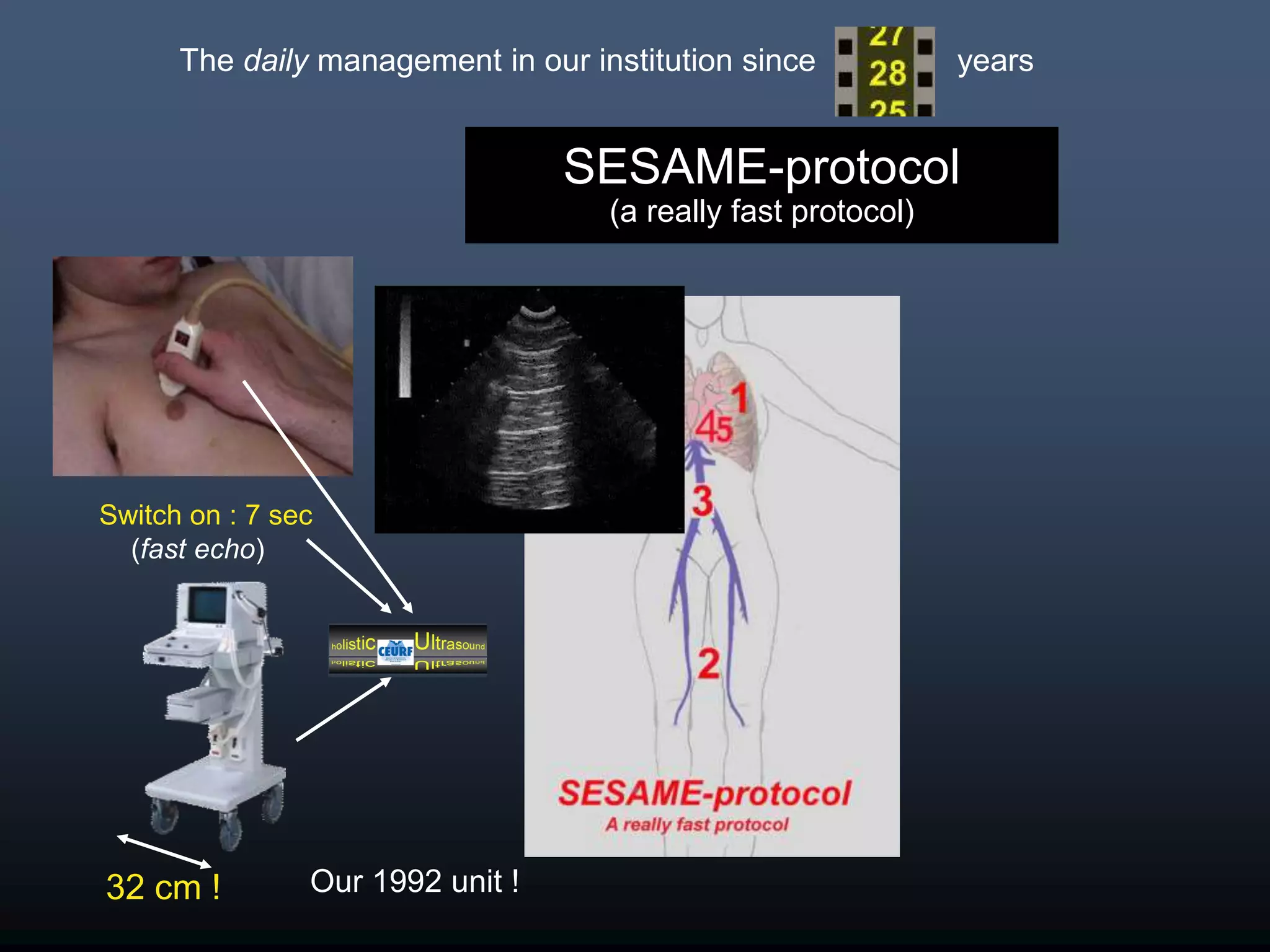 Lung Ultrasound in Critical Care and Resuscitation: Daniel Lichtenstein ...