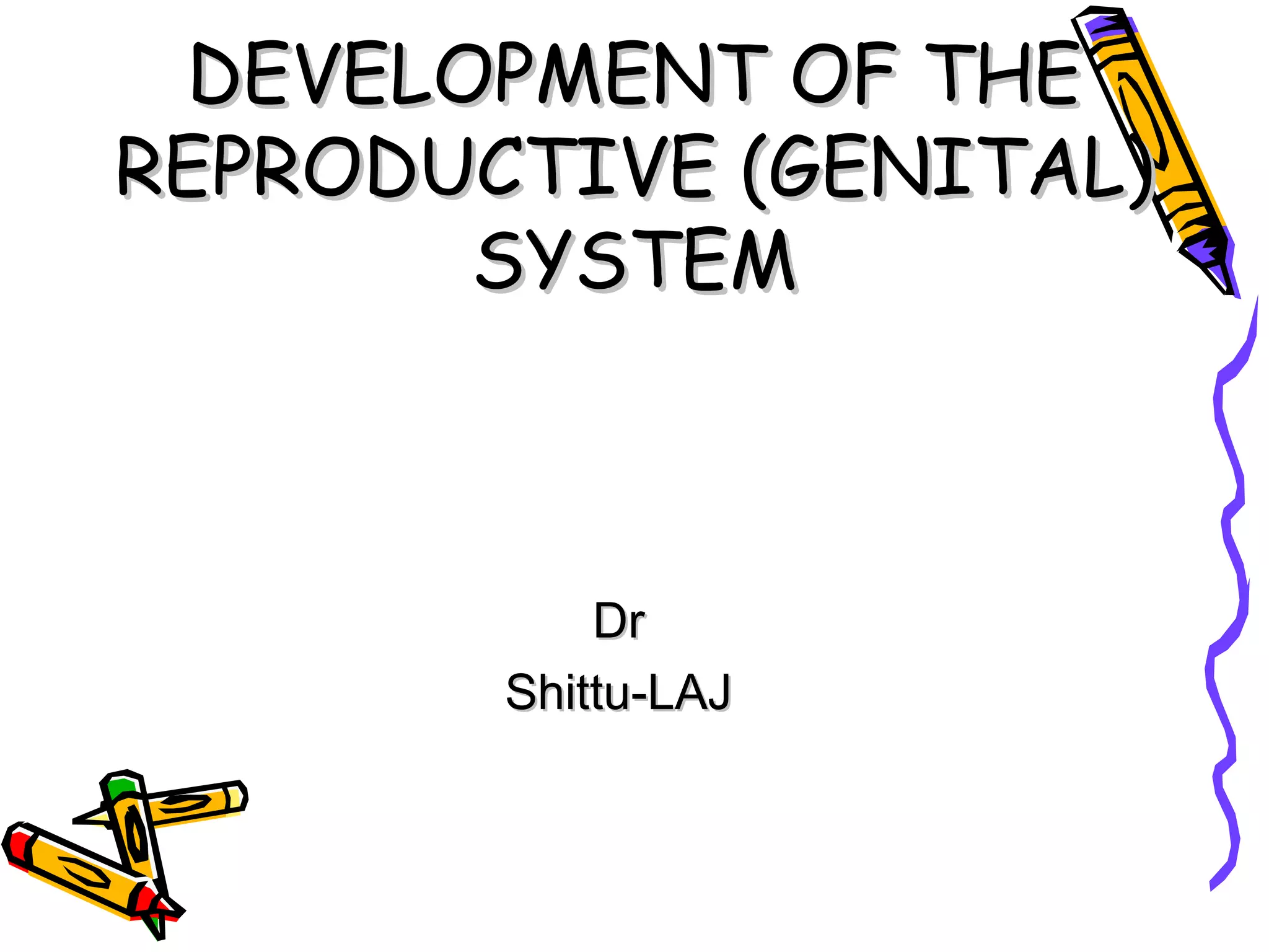 Anatomy of Reproductive System | PPT | Reproductive Health | Diseases ...