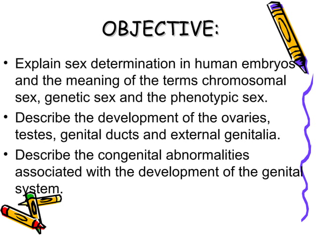 Anatomy of Reproductive System | PPT | Reproductive Health | Diseases ...