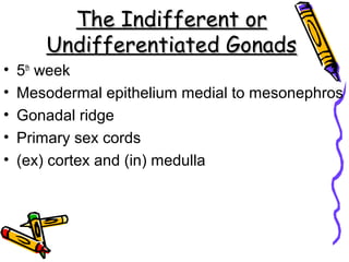 Anatomy of Reproductive System | PPT