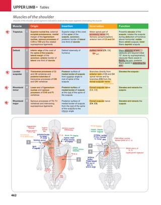 0 Origin-Insertion R1 R2 (r56728271).pdf