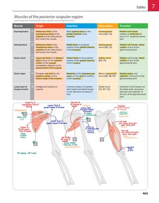 0 Origin-Insertion R1 R2 (r56728271).pdf