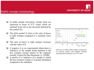 Stable carbon isotopes | PPT