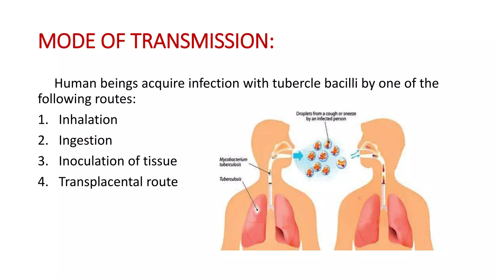 Pathophysiology and clinical management of tuberculosis | PPTX