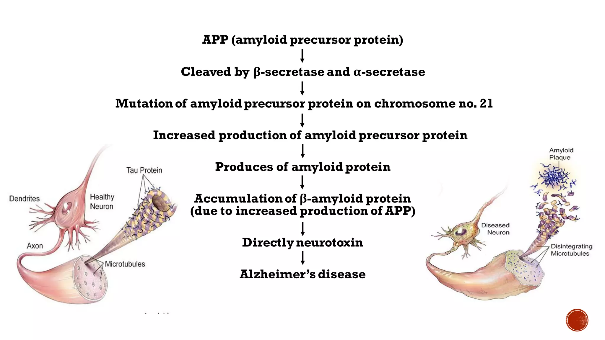 Pathophysiology and management of alzheimer's disease | PDF