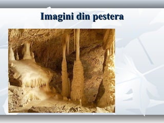 0pestera | PPT
