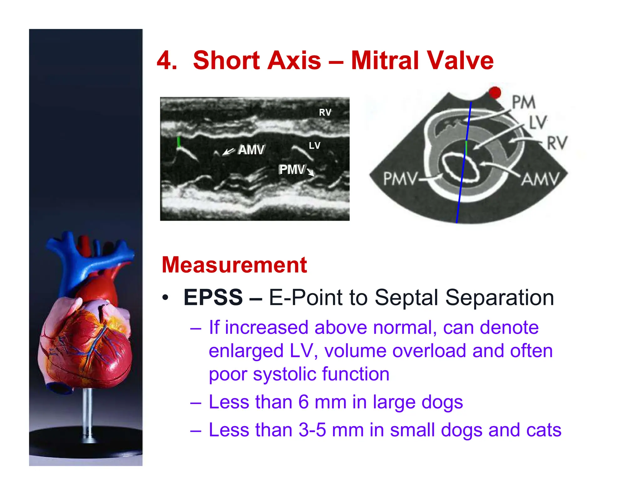0PowerPoint- focused Echocardiography.pdf