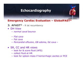 0PowerPoint- focused Echocardiography.pdf