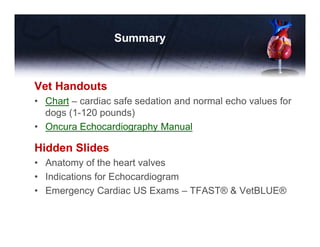 0PowerPoint- focused Echocardiography.pdf