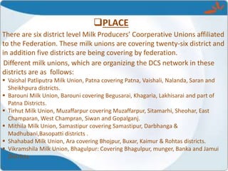 Patna Dairy Project | PPTX