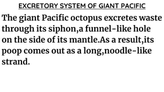 0_Presentation of A Coelomate & a Non Coelomate Animal 2.pptx