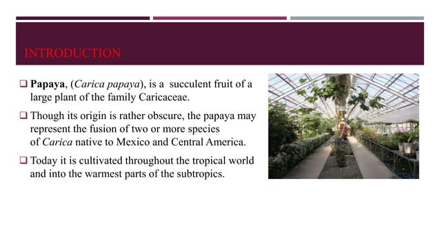 Protected Horticulture Presentation Slides.pptx