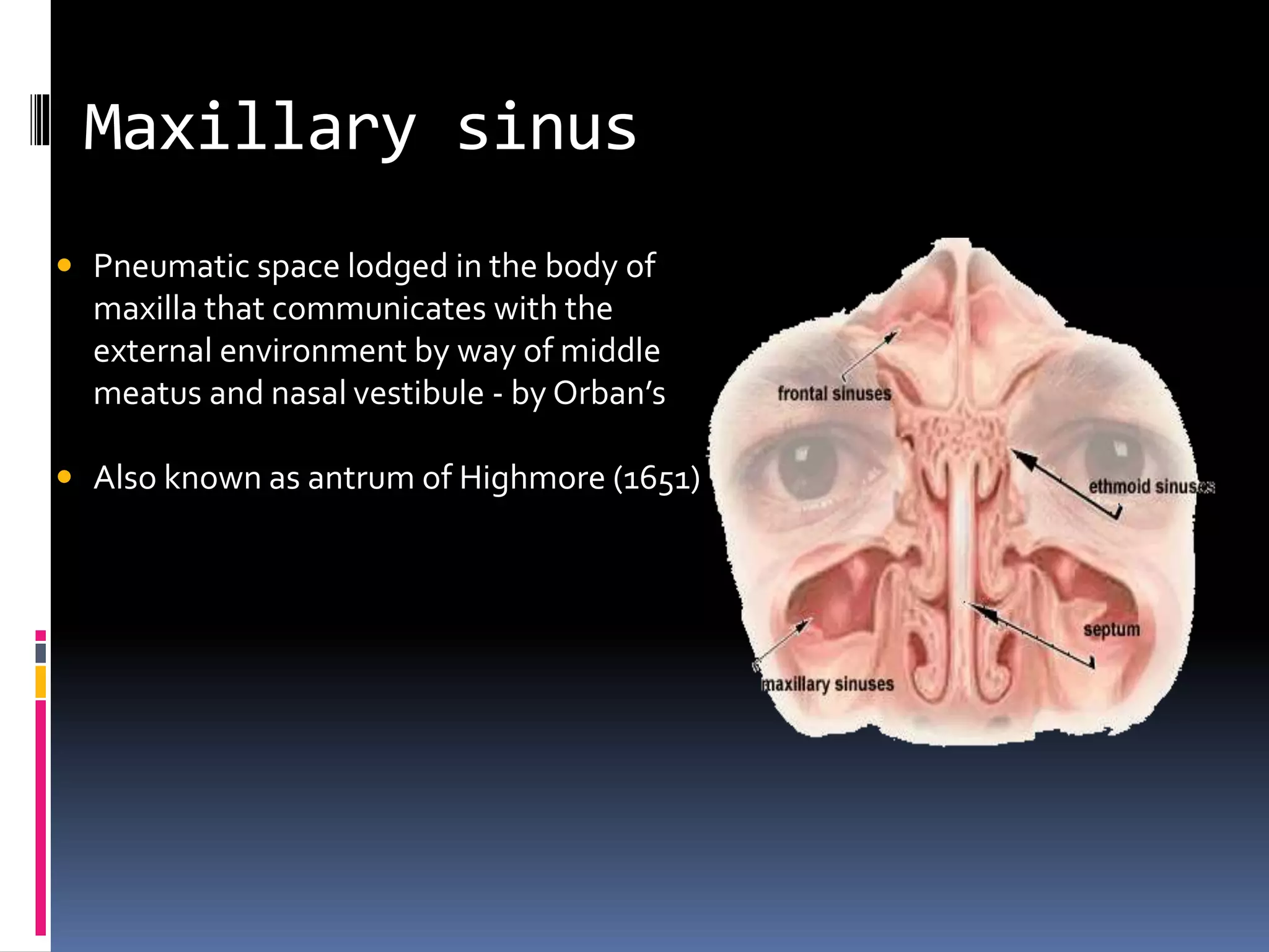 SEMINAR_ON_MAXILLARY_SINUS.ppt
