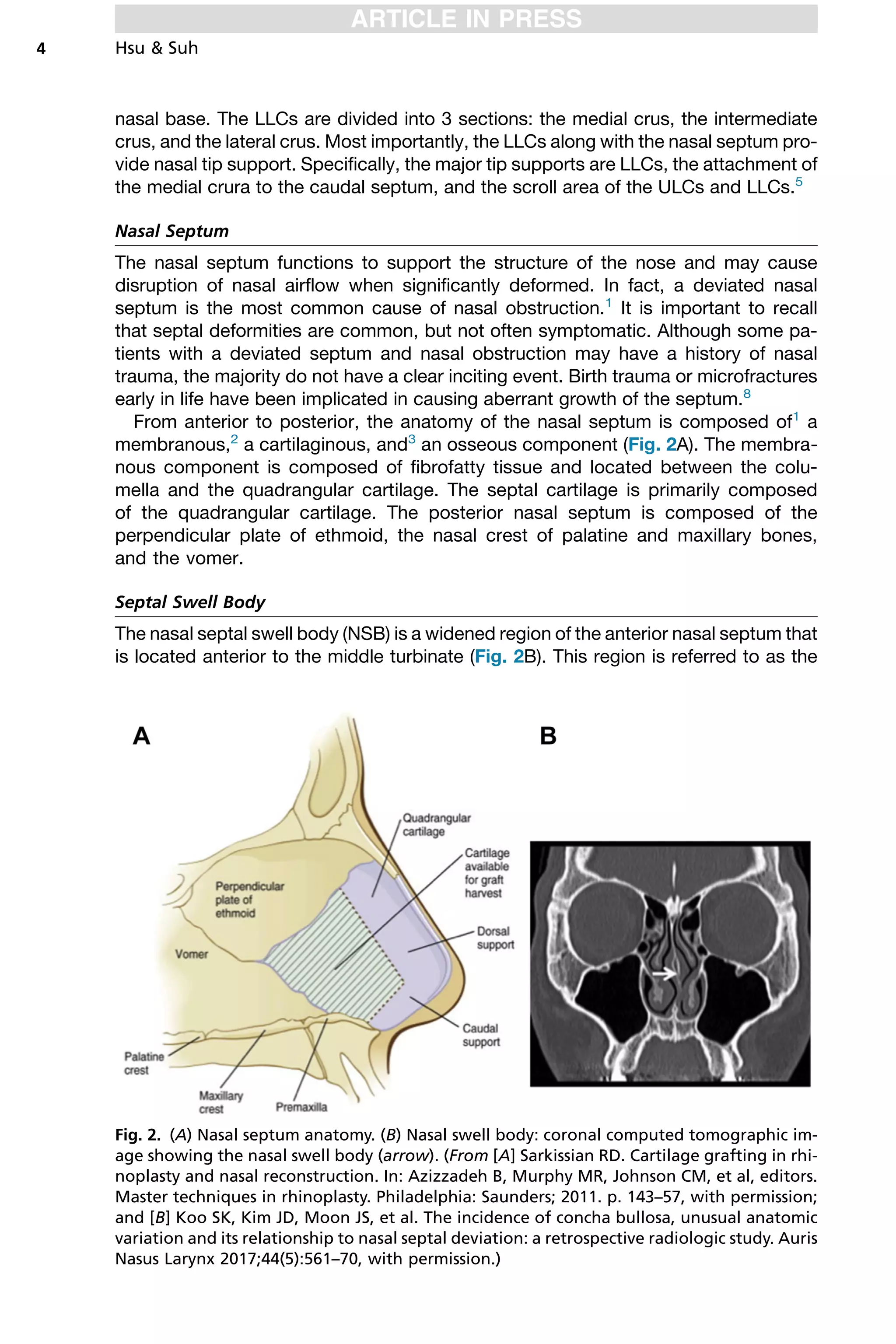 Nasal obstruction.pdf | Ear, Nose and Throat Conditions | Diseases and ...