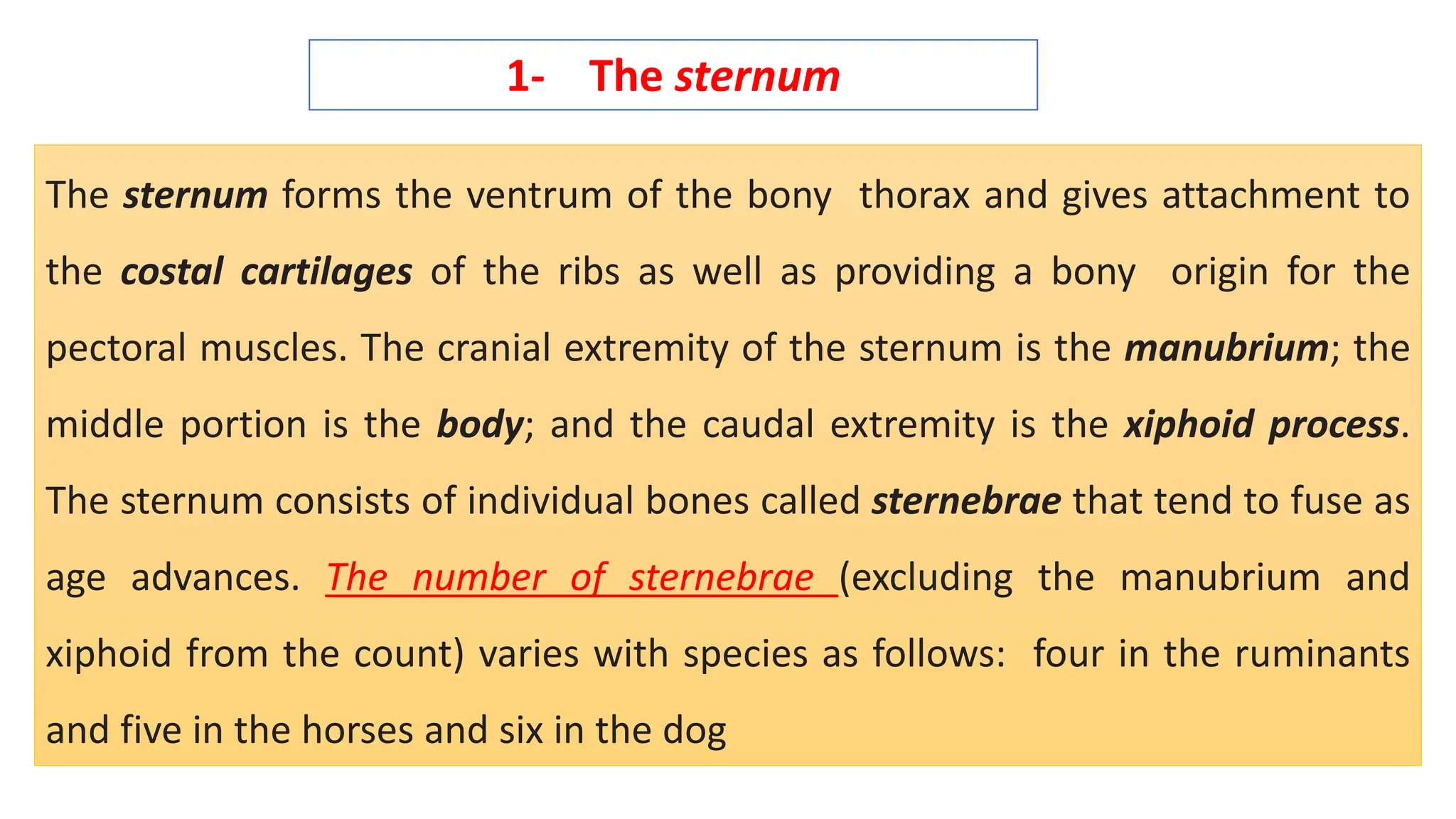 9-Axial_skeleton_the_ribs_and_sternum.pdf