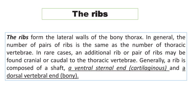 9-Axial_skeleton_the_ribs_and_sternum.pdf
