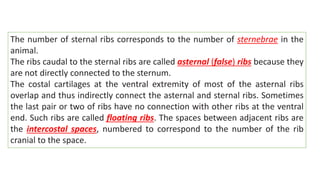 9-Axial_skeleton_the_ribs_and_sternum.pdf