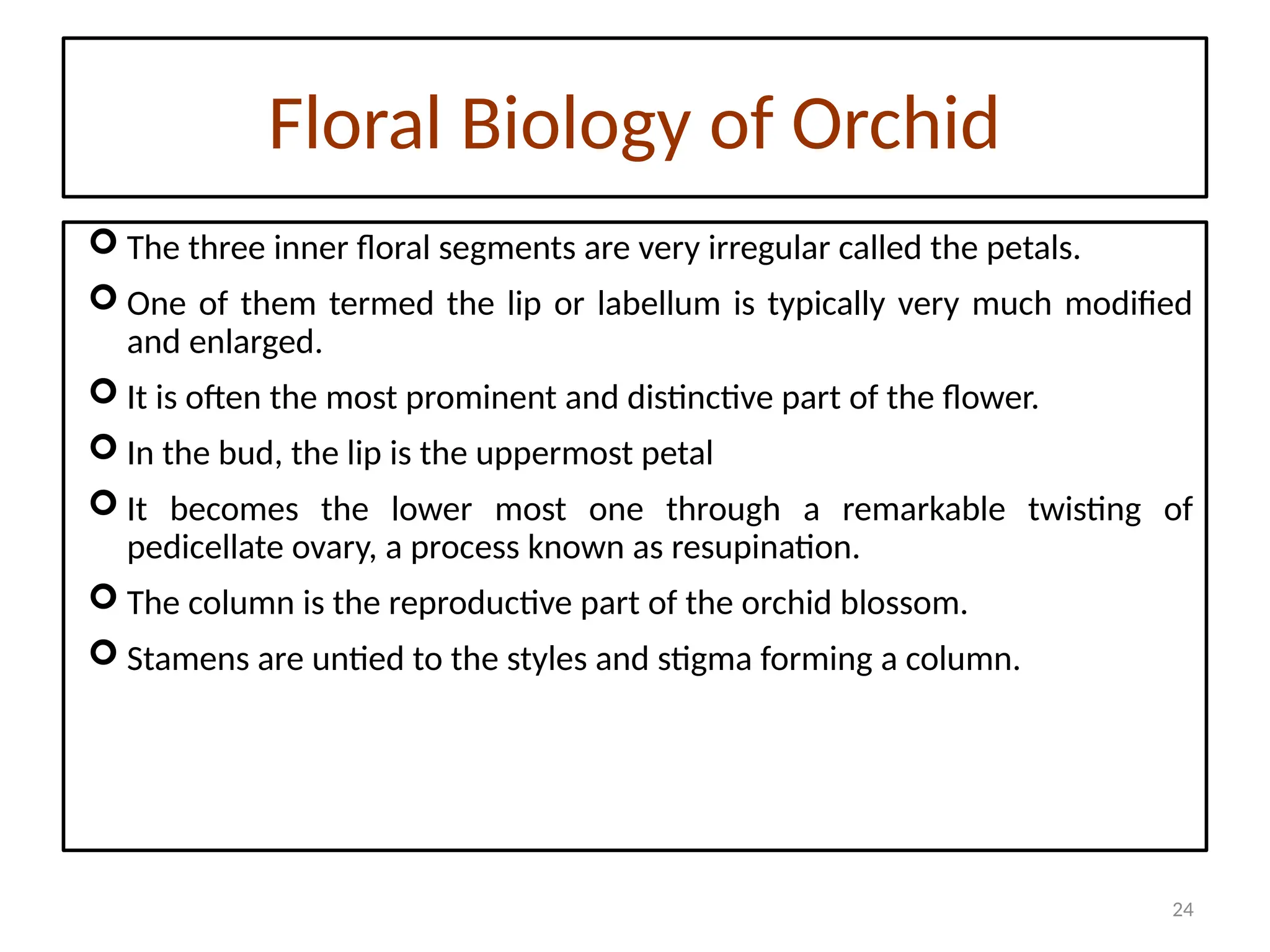 0rchid ppt production technology of orchid | PPTX