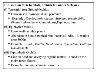 0rchid ppt production technology of orchid | PPTX