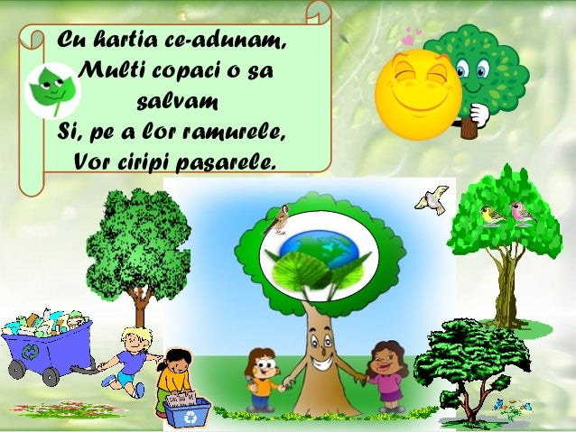 REGULAMENTUL MICULUI ECOLOGIST