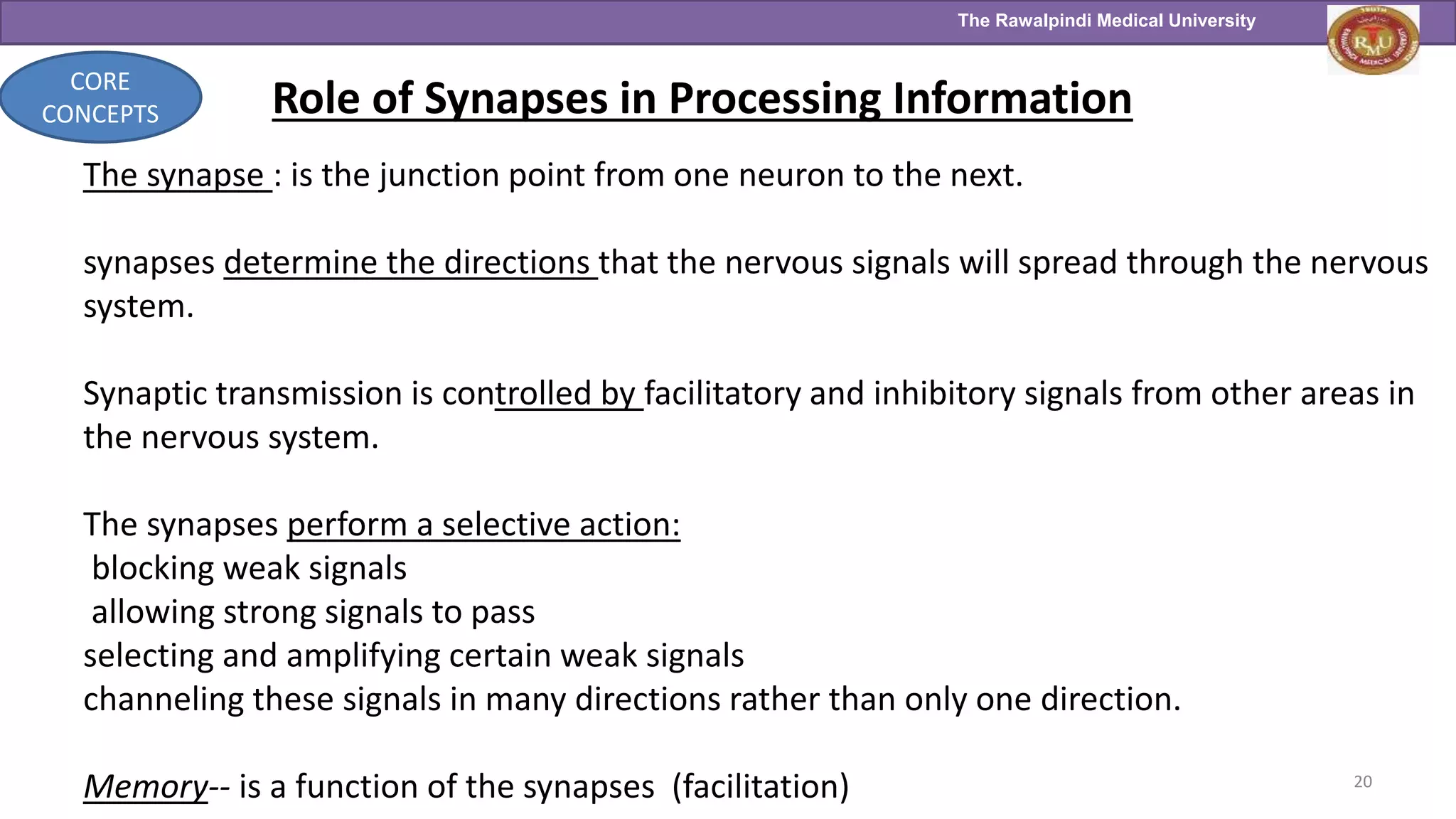 0rganization of nervous system & mechanism of synaptic transmission ...