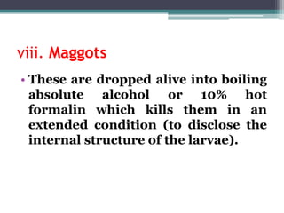 samples collection | PPTX