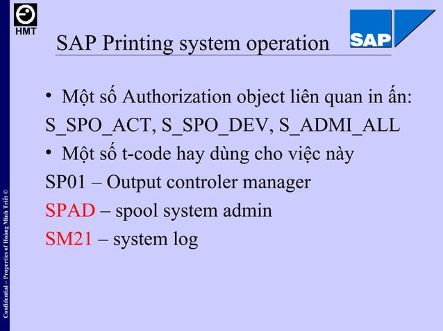 SAP BASIS Overview (Vietnamese) | PPT