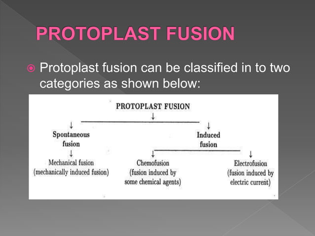 protoplast culture isolation and fusion | PPTX | Biotech and Biomedical ...