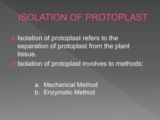 protoplast culture isolation and fusion | PPTX