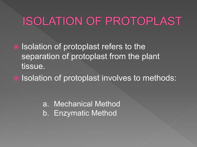 protoplast culture isolation and fusion | PPTX | Biotech and Biomedical ...