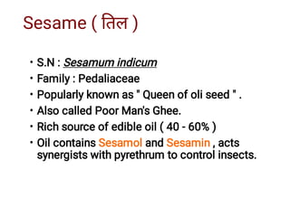 Sesame_Ravi_Banjade.pdf