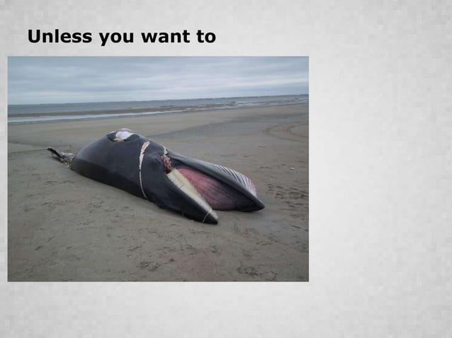 Angular migration | PPTX