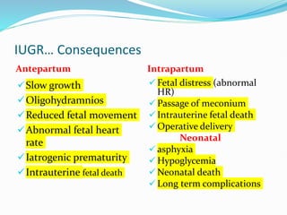 0 SGA. small gastinal age , .........pptx