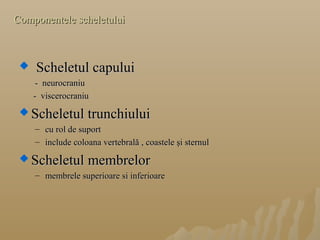 sistemulosos | PPT