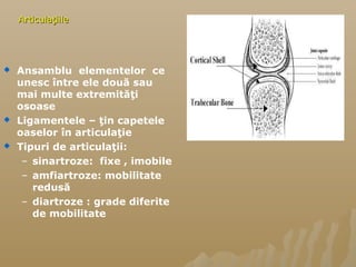 sistemulosos | PPT