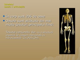 sistemulosos | PPT