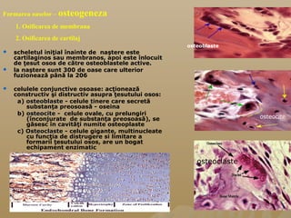 sistemulosos | PPT