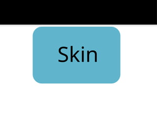 0_skin_&_fascia general anatomy bdc.pptx