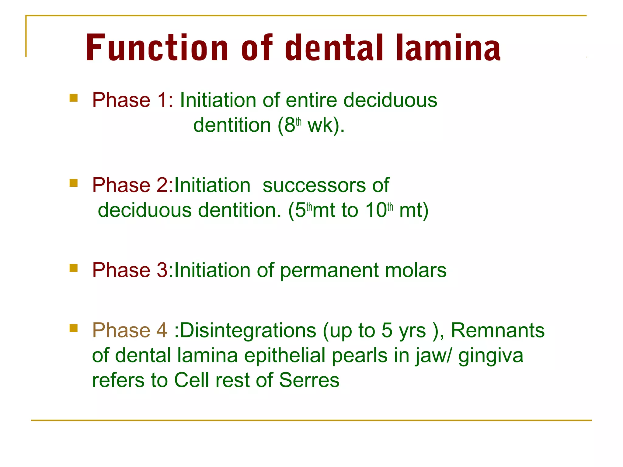 (dental basic seminar)Development of tooth with basic embryology ...