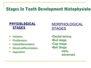 (dental basic seminar)Development of tooth with basic embryology ...