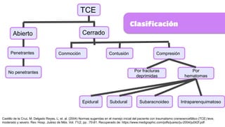 Traumatismo Craneoencefálico, ETIOLOGIA, CLASIFICACION, FISIOPATOLOGIA ...