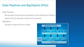 Bringing the Power of Big Data Computation to Salesforce | PDF | Cloud ...