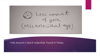 Types of egg | PPTX | Genetics | Science