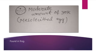 Types of egg | PPTX | Genetics | Science