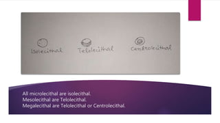 Types of egg | PPTX | Genetics | Science