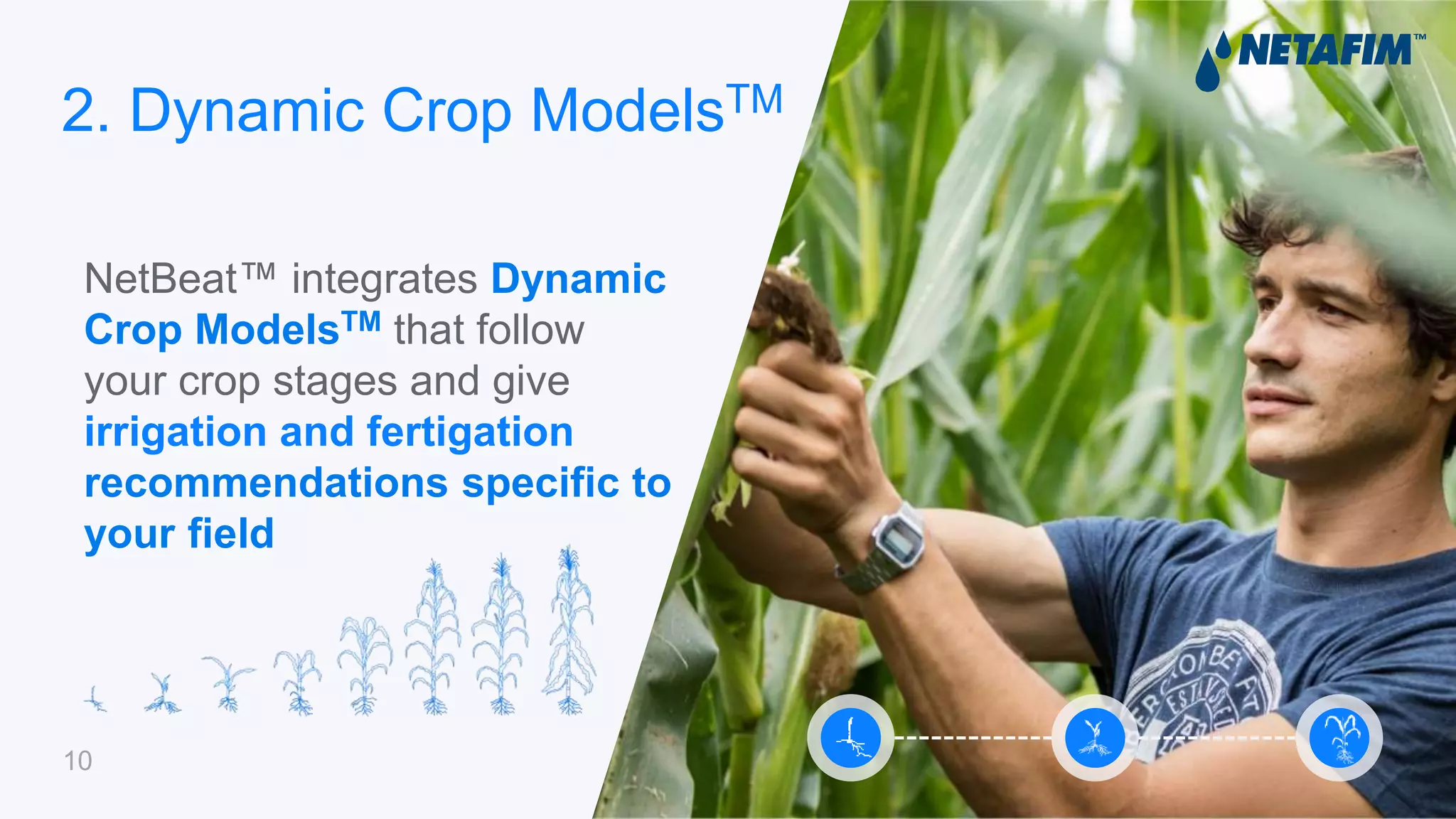 NetBeat: The first irrigation system with a brain | PPTX