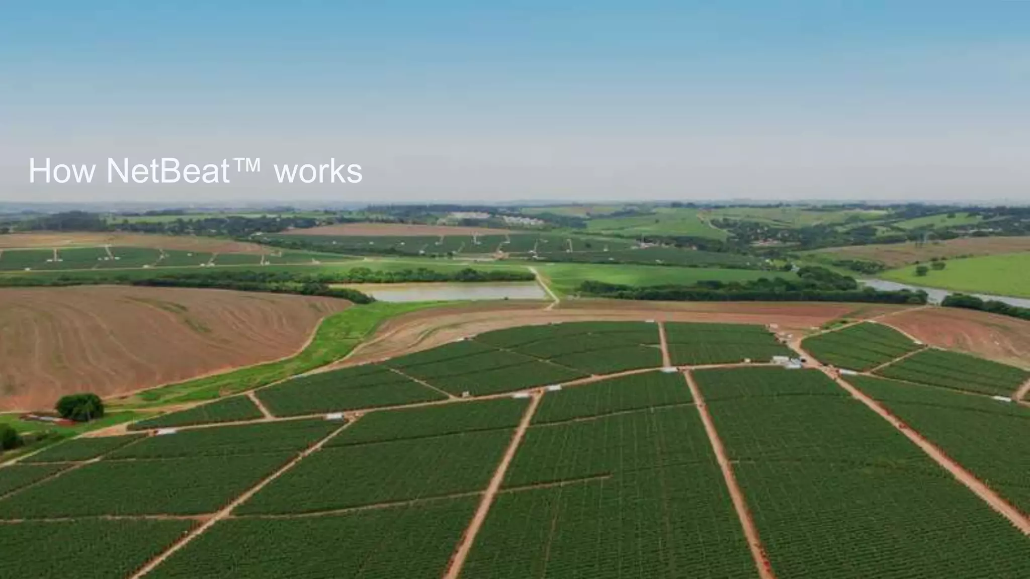 NetBeat: The first irrigation system with a brain | PPTX