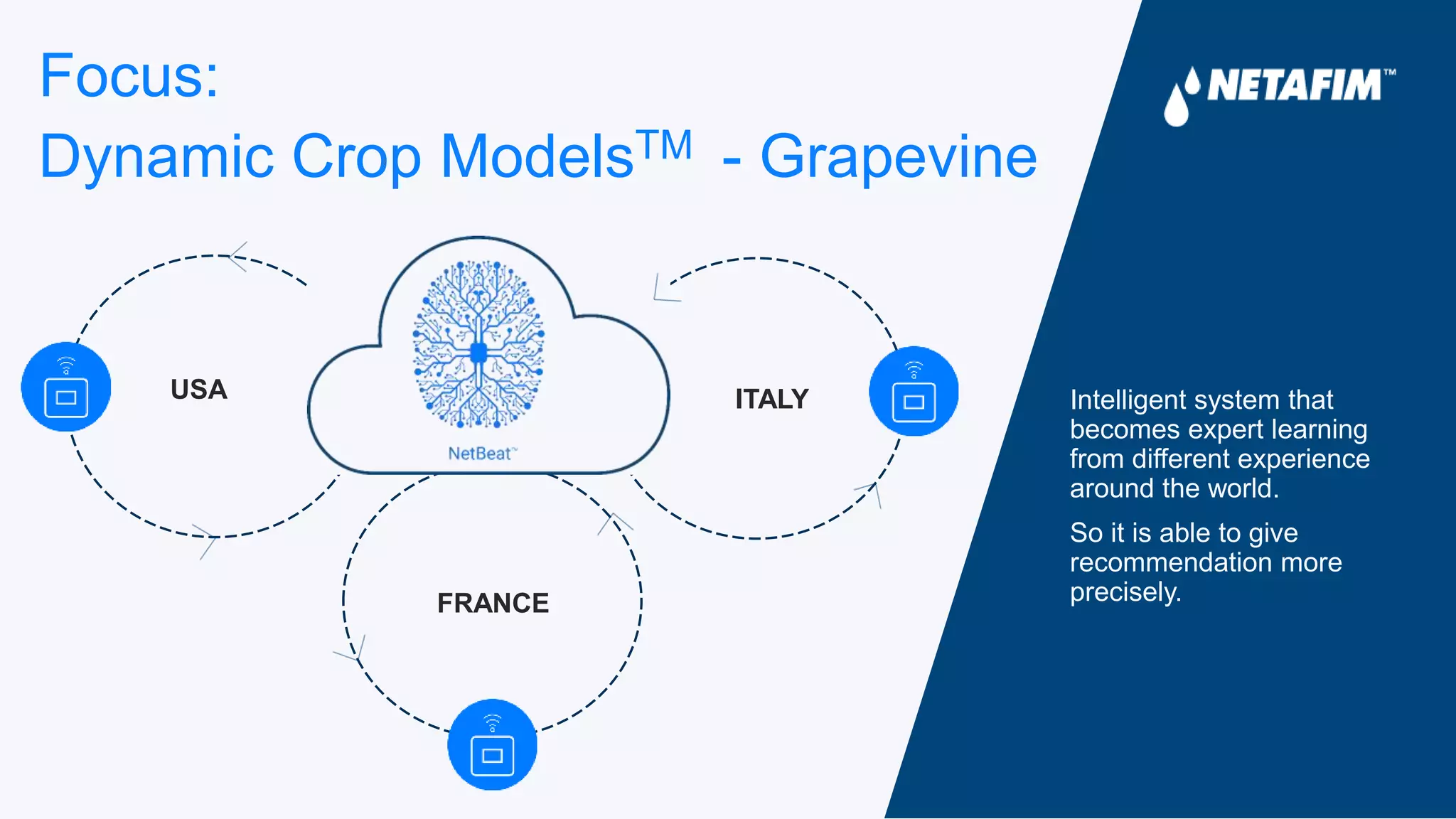 NetBeat: The first irrigation system with a brain | PPTX