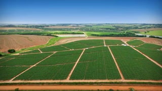 NetBeat: The first irrigation system with a brain | PPTX | Agriculture ...