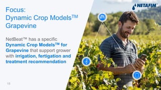 NetBeat: The first irrigation system with a brain | PPTX | Agriculture ...